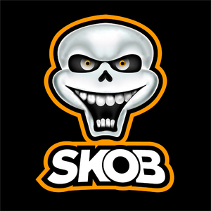 🎮 SKOB Team | DropinGame